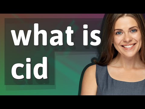 Cid | meaning of Cid
