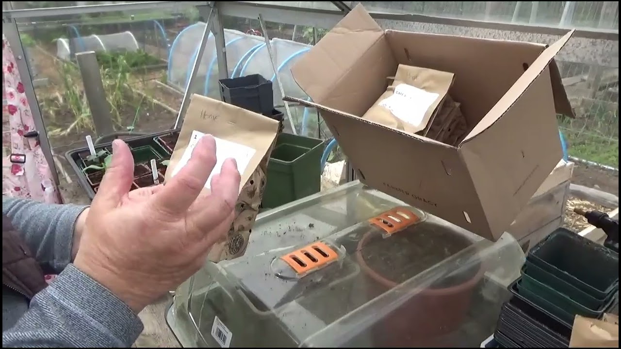 Bookends Allotment