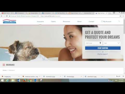 American Family Insurance