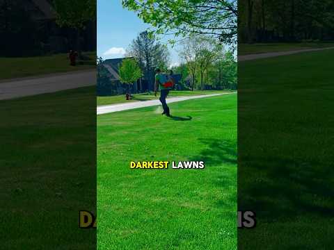 Is This The Secret To The Darkest Grass On The Block?