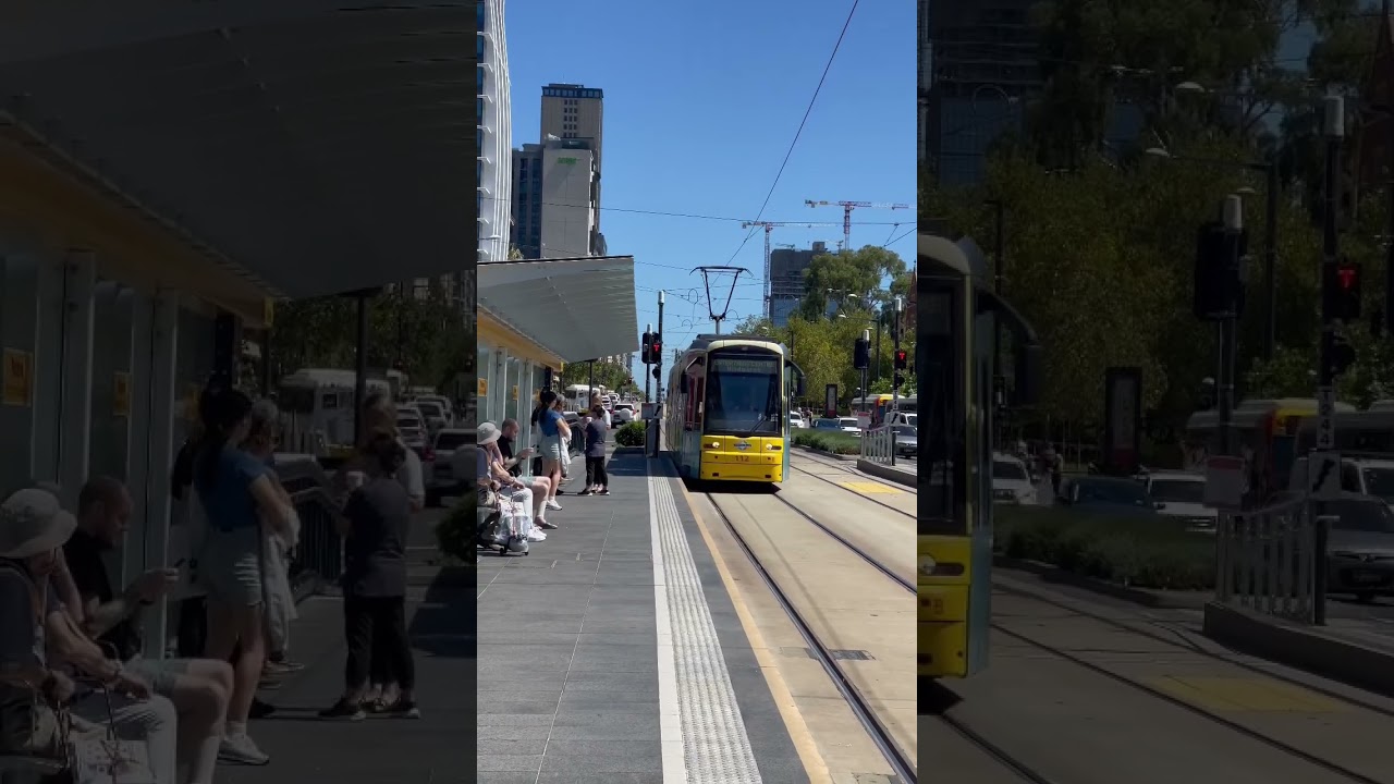 Tram in Adelaide 🚃 South Australia #travel #travelling #australia #explore #visit #photography