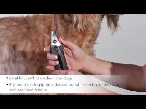 Andis Premium Pet Grooming Tools - Small Nail Clippers, 65260