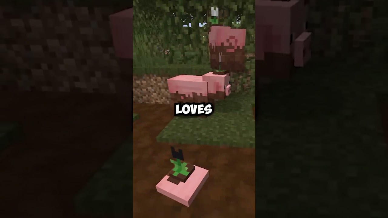 The Pig Mojang Deleted on June 30, 2021 | Earth Mobs mod