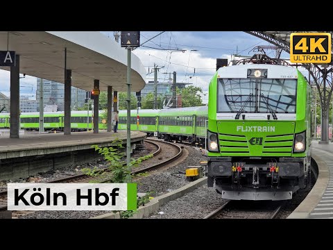 Köln Hbf 06.06.2025 - Charterlok, Flixtrain & ICE nach Frankfurt und Basel