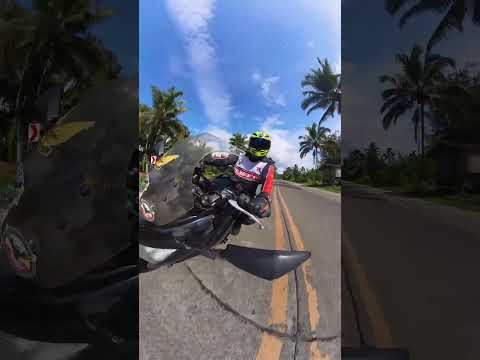 Ninja 1000SX - Full system | Full Throttle