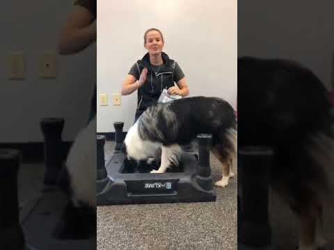 Facebook Live: What does Enrichment mean to you?
