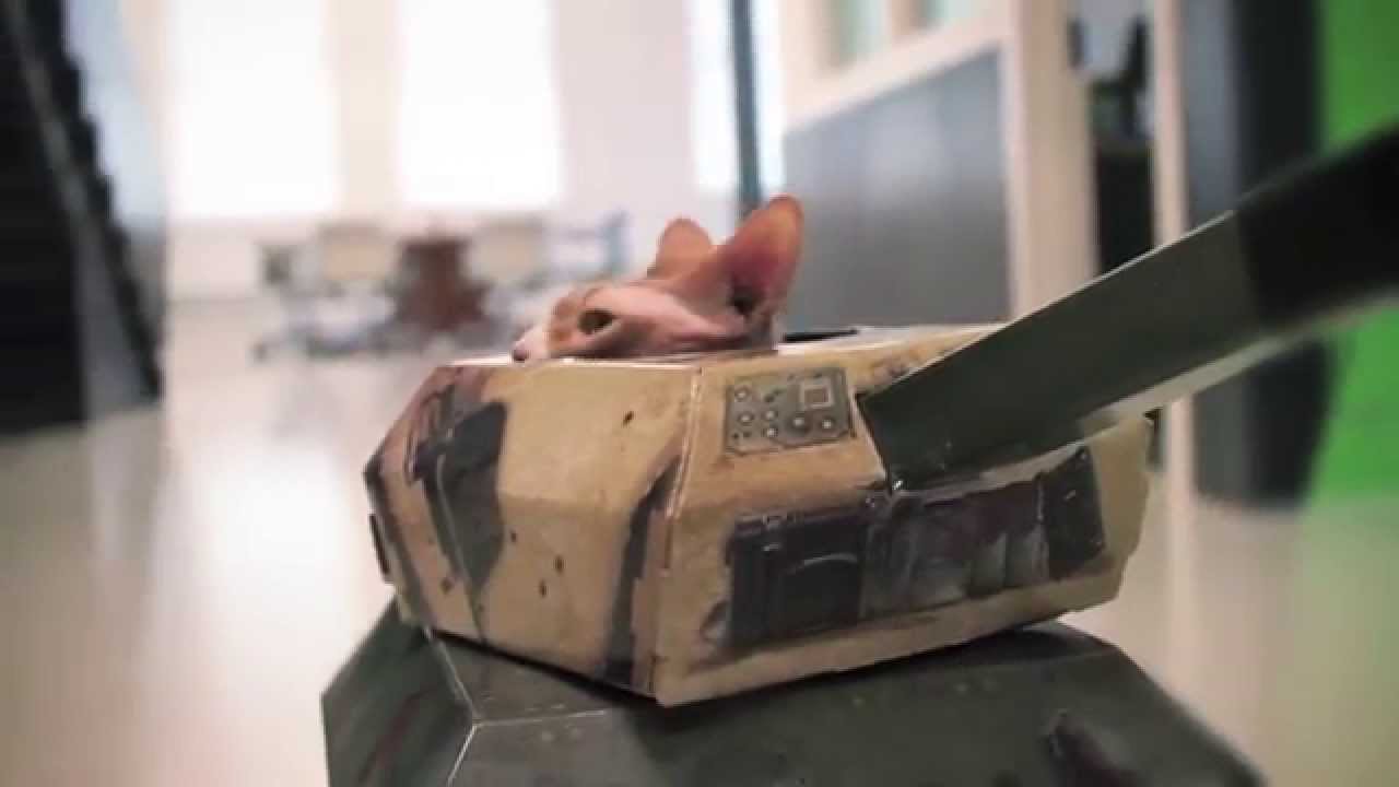 Cats in Tanks by Whitehouse Post