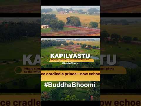 Kapilvastu Stupa | history of kapilvastu | kapilvastu india | story of kapilvastu#shorts #kapilvastu