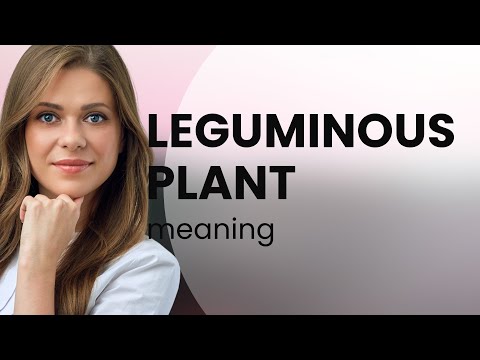 Leguminous plant | definition of LEGUMINOUS PLANT