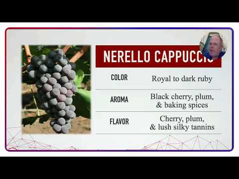 New Wines of Mt Etna - Napa Valley Wine Academy - Ben Spencer DipWSET Nerello Cappuccio - #wset