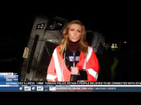 New Year…New Reporter… | Little John Photo