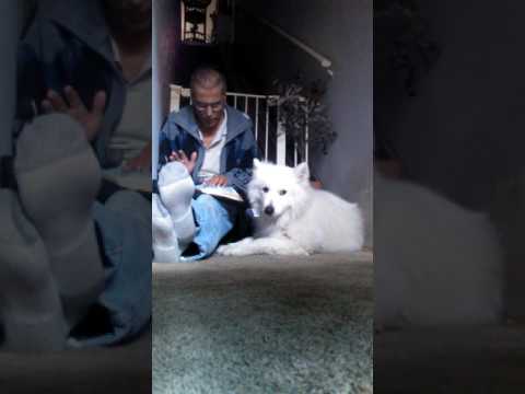 Reading the Bible with my dog Kimba