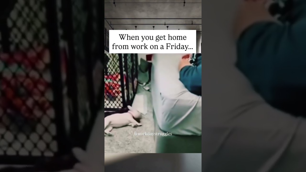 When you get home from work on a Friday… #funnyworkmemes #fridayfeeling