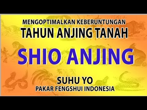 Ramalan Shio Anjing di Tahun Anjing Tanah