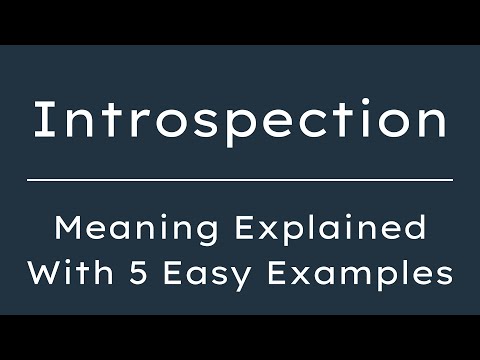 What Does Introspection Mean? Introspection Meaning in English With 5 Example Sentences