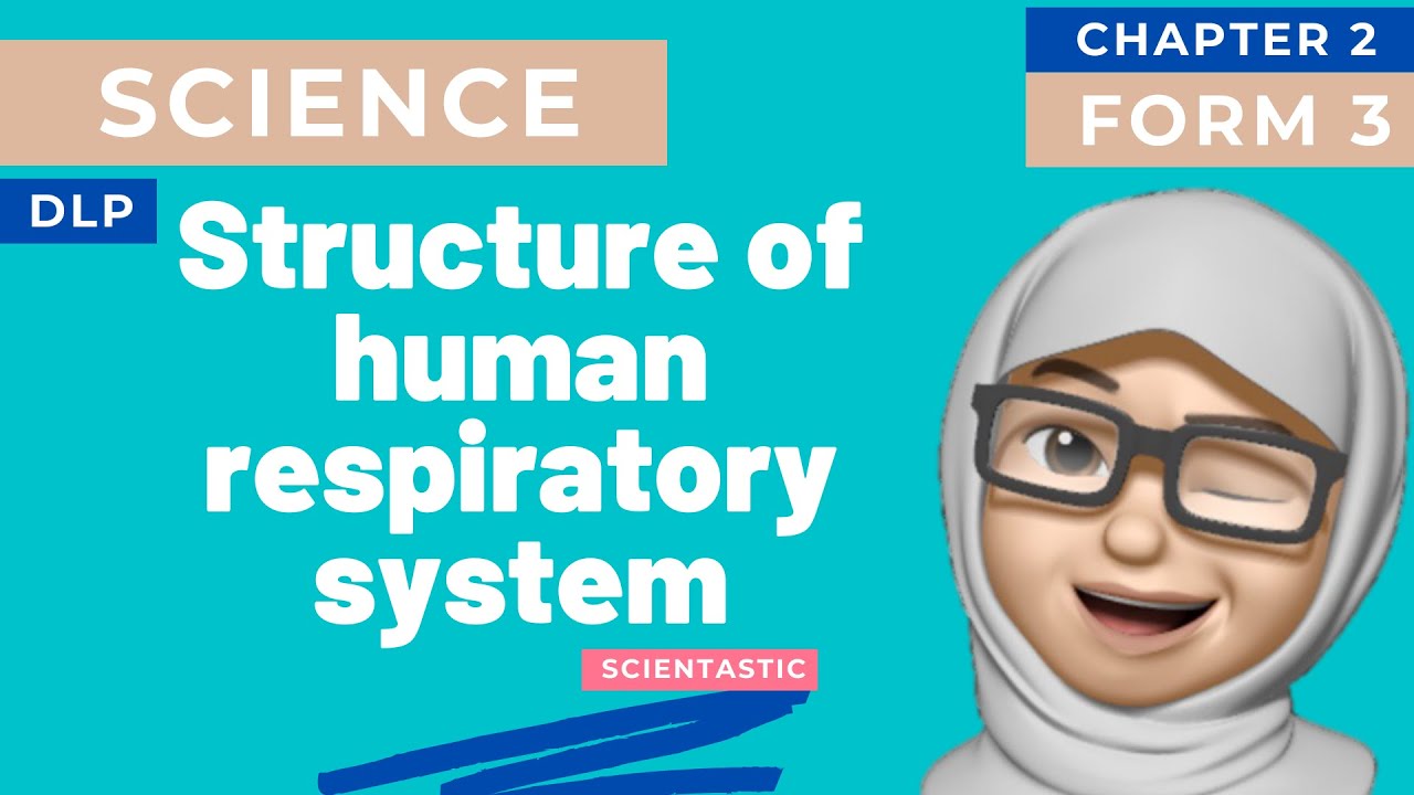 SCIENCE | KSSM| DLP | FORM 3 | CHAPTER 2 RESPIRATION | 2.1 STRUCTURE OF HUMAN RESPIRATORY SYSTEM