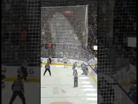 Nylander’s OT winner #leafs #Toronto #Nylander #Hockey #Willy #nhl #overtime #winner #beauty