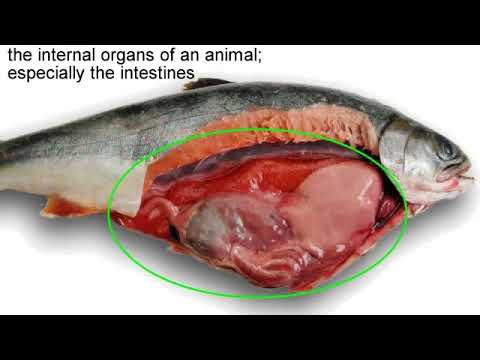 entrails meaning | Vocabulary for Kids | Children's Dictionary | Learn English Vocabulary