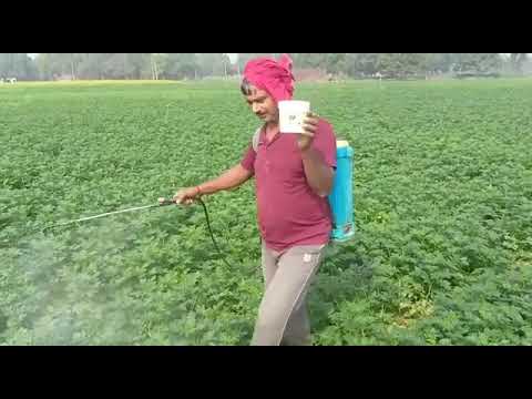 Nav Sankalp Agro Solutions Private Limited, Lucknow - Manufacturer of ...