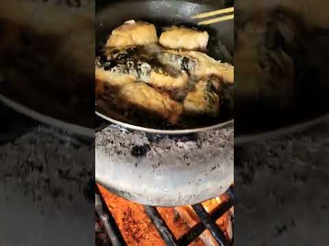 HOW TO COOK A PERFECT FRIED HALIBUT FISH |OUTDOOR COOKING #shorts #short #groundpork #outdoorcooking