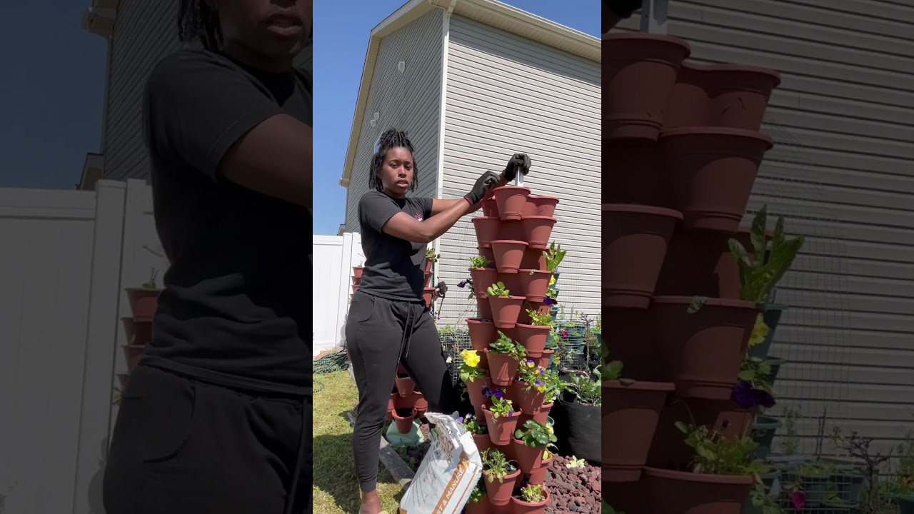 Dollar Tree x Lowes Vertical Garden! #gardening #explorepage #plants #gardener #gardeningtips #peace