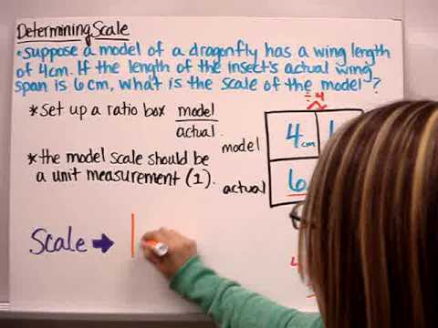 Scale Drawings and Models