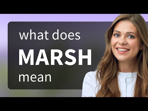 Marsh | definition of MARSH
