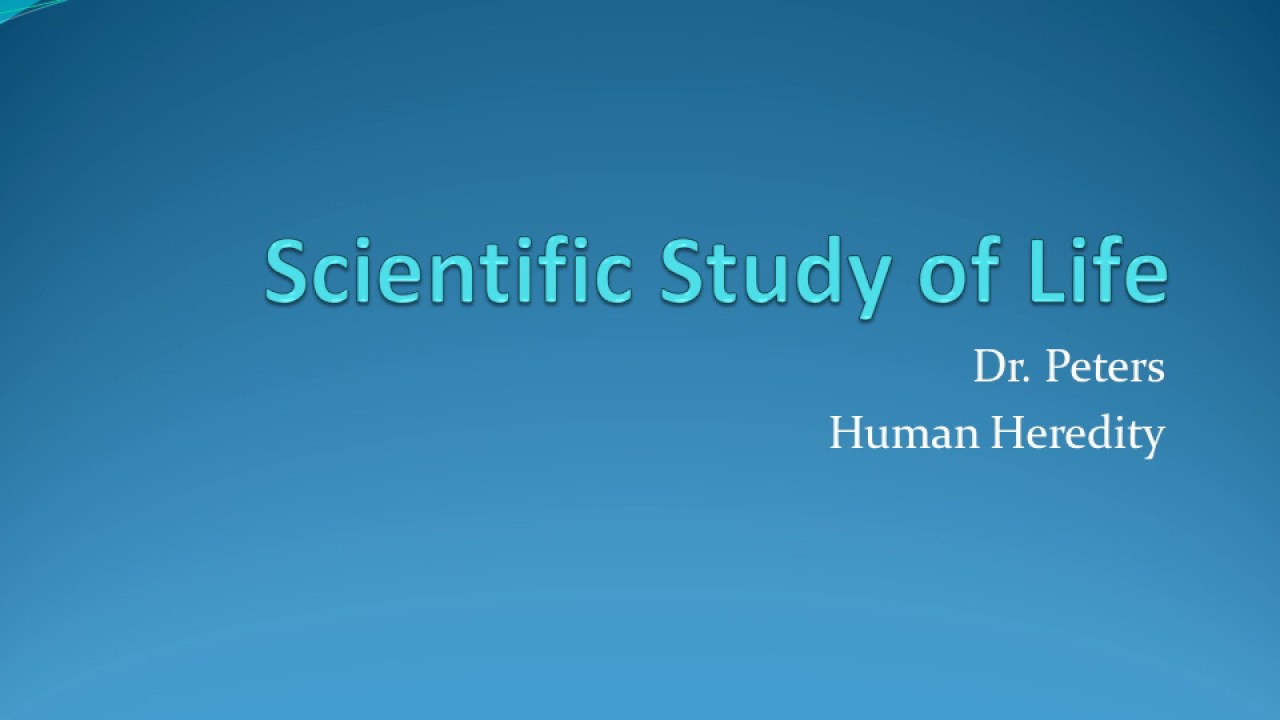human heredity powerpoint 1A s17