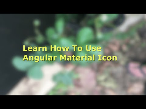Angular Material Icon (mat-icon) Example