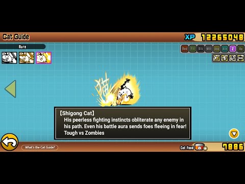 The Battle Cats 10.5 - Wushu Cat True Form Shigong Cat