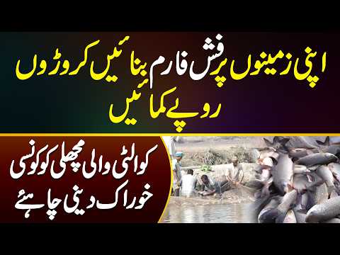 Fish Farming Business in Pakistan - Fish Farming Me Kitna Profit Hai? Konsi Fish Ki Demand Zyada Ha?
