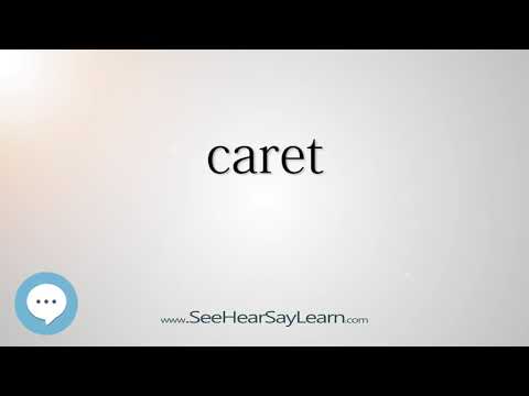 caret - Smart & Obscure English Words Defined 🗣🔊