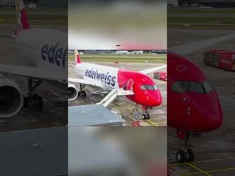 A350's birthday 🎂 🥳 | #viralvideo #aviation #pilot #planes #fypviralシ #airplane #airlines #avgeek