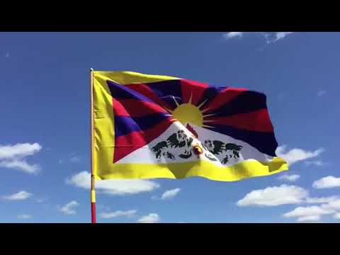 Tibetan national flag waving in the wind in USA