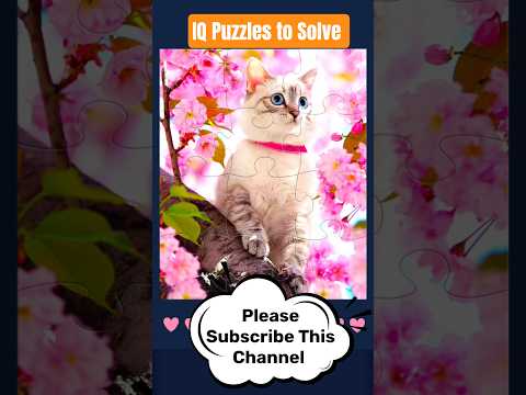 Can You Solve This Cat Puzzles 🐱 #ytshorts #vuralvideo #cute #games #shortsfeed
