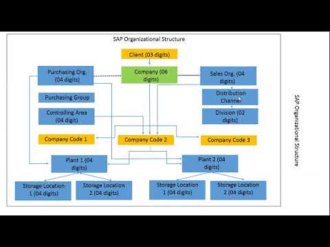SAP MM Video Training 2 - SAP MM Organizational Structure