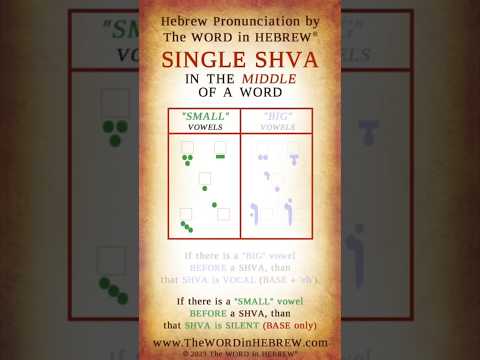 Vocal or Silent SHVA? Part 2 #shorts #learnhebrew #hebrew