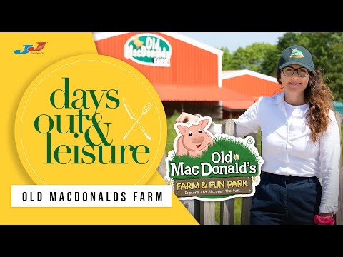 Old MacDonalds Farm in Essex - Where Families Feast with JJ Products!
