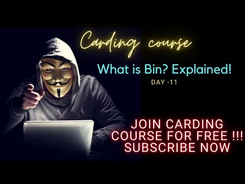 What is bin? Explained!