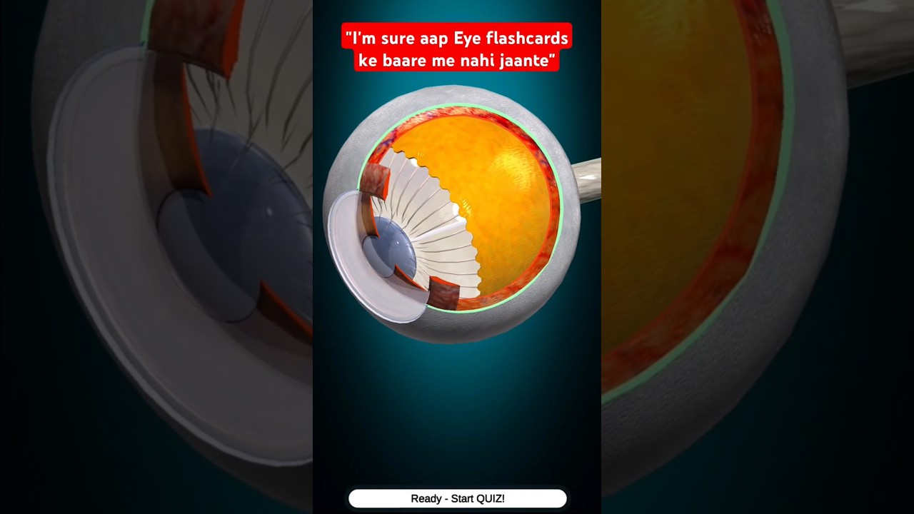👀👁️Eye flashcards anatomy | Eye Flashcards | Quizlet #trending #shorts #youtubeshorts #youtube