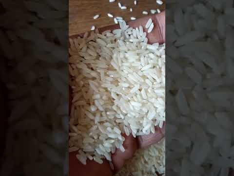 IR-64 Rice - Wholesale Price & Mandi Rate for IR 64 Parboiled Rice