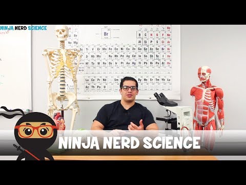Welcome to Ninja Nerd Science!