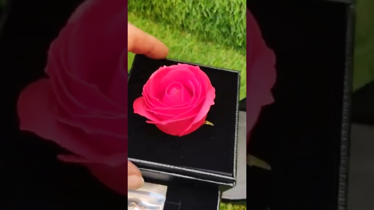 Caja de Regalo de Rosas con Collar, ORIGINAL PERO LA ROSA NO ES PRESERVADA