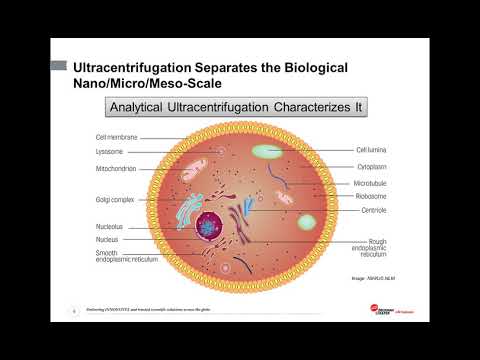 An Introduction to characterization of biomolecules using analytical ultracentrifugation
