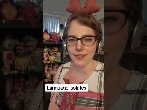 What are language isolates?