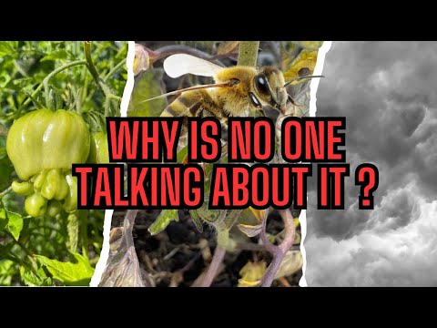 Shocking! What is in the Air?– and Why Is No One Talking About It?