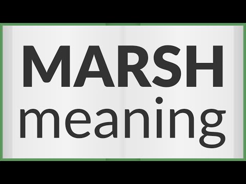 Marsh | meaning of Marsh