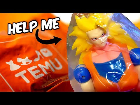 I Bought Dragon Ball SH Figuarts off TEMU