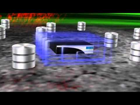 Affordable dedicated web hosting choices