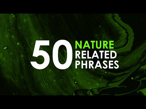 50 Nature Related French Words And Phrases | The Frenchville